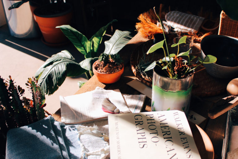 Shop info（臨時営業） | RHYTHMOS